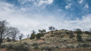 10 Historic Forts in New Mexico: Guardians of Time and Culture