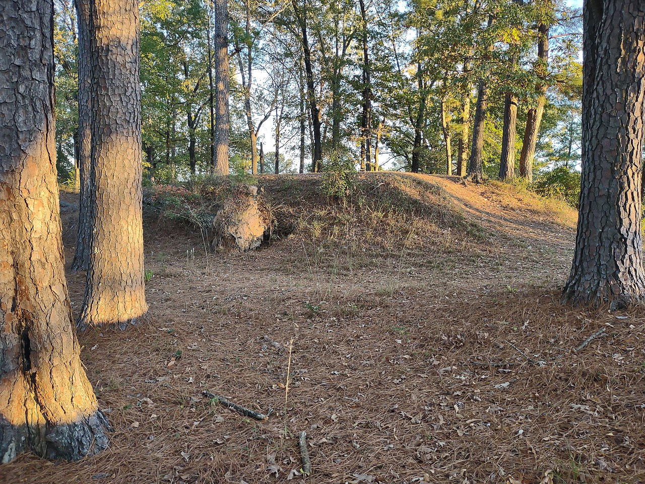 9 Historic Forts in Arkansas: A Look at Military Heritage - Historic Forts